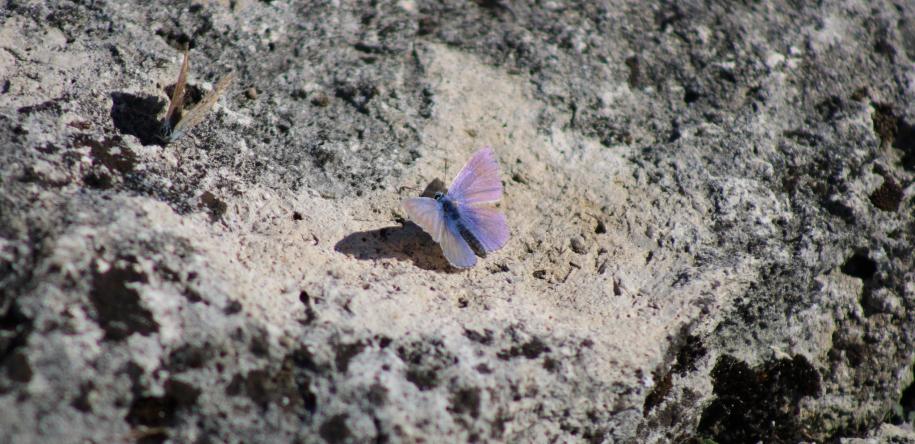 Les instants de Segeta | CC4V